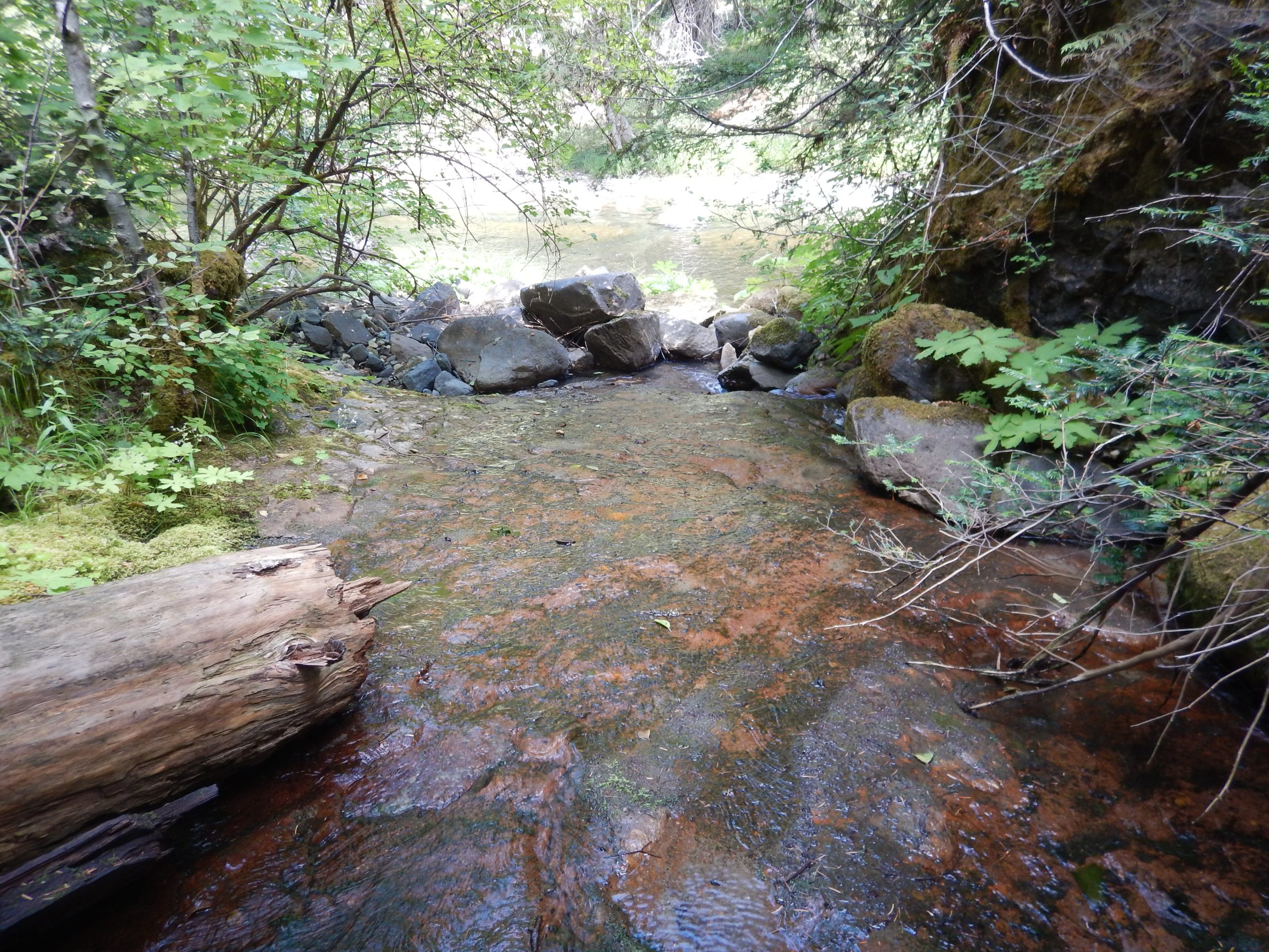 Emerson Creek AOP & Stream Restoration - DJ&A, P.C.