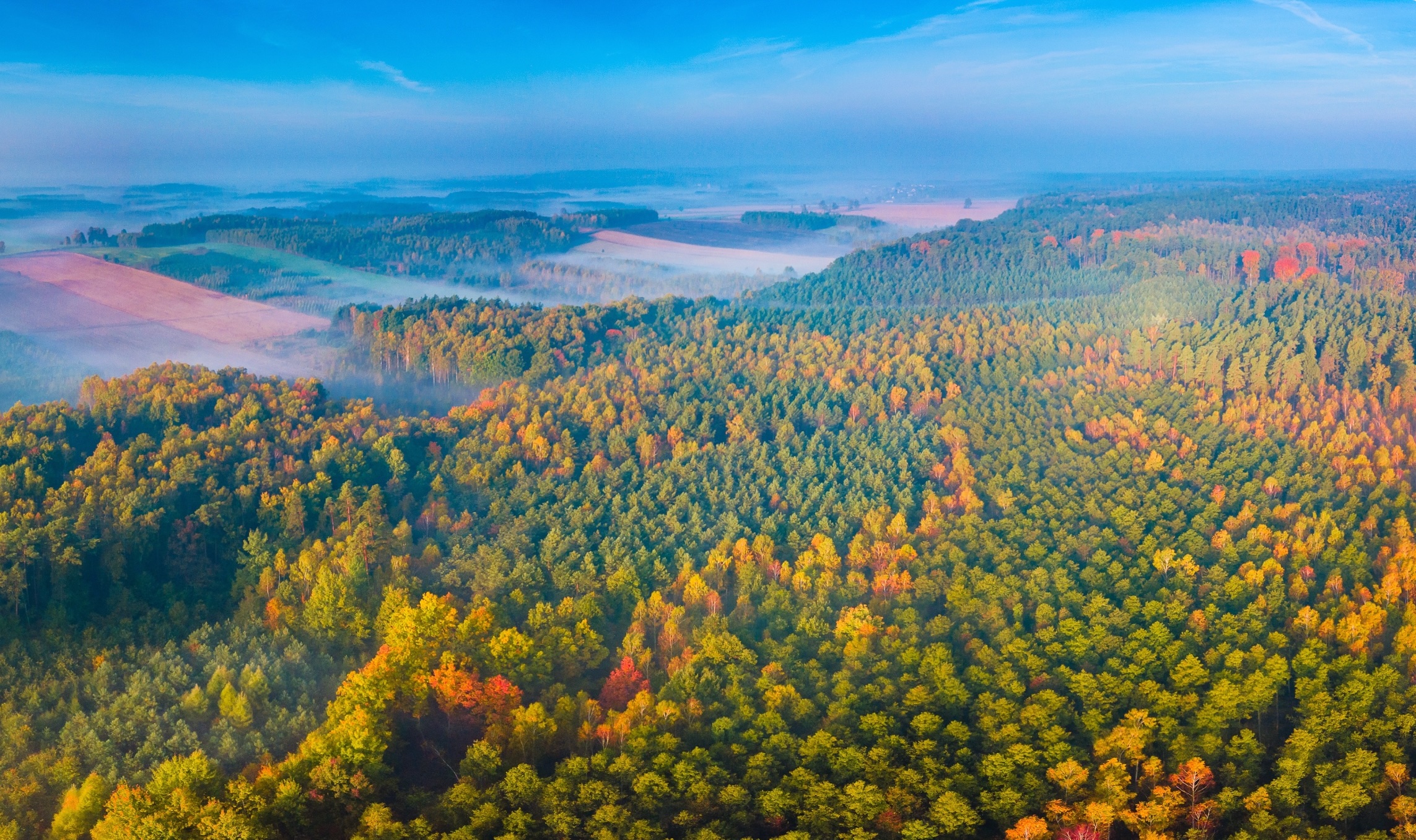 Digital Mobile Sketch Map (DMSM) - DJ&A, P.C.